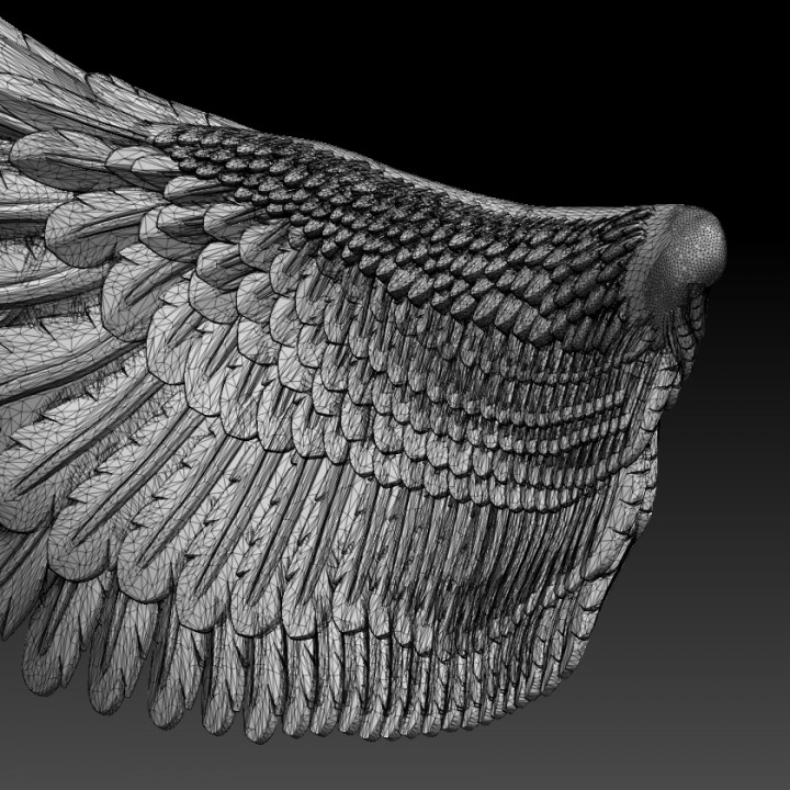 3D Printable WINGS by Dmitry Tishchenkov