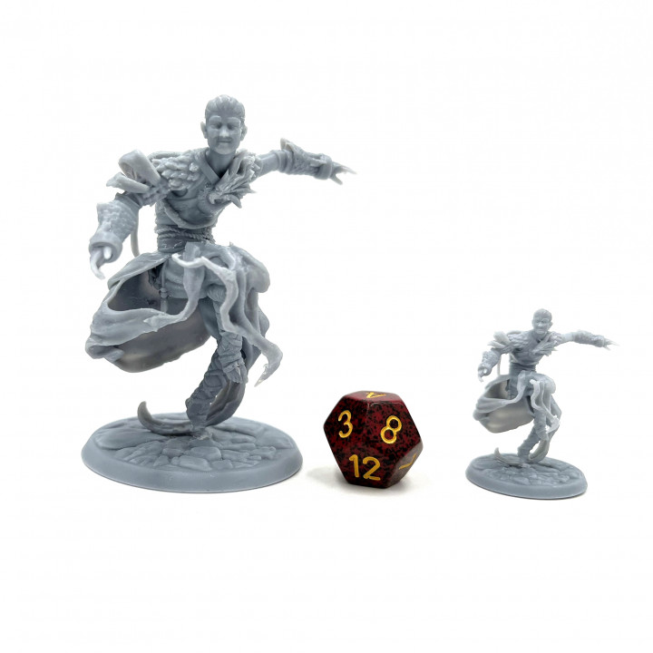 3D Printable Avatar of Bahamut – the Young Monk Grandmaster of Flowers ...