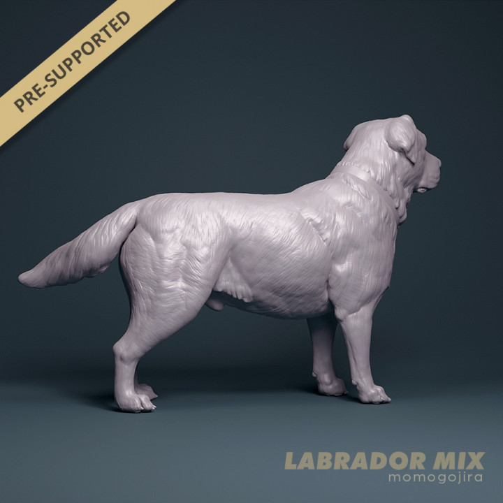3D Printable Labrador Mix Dog by Momo