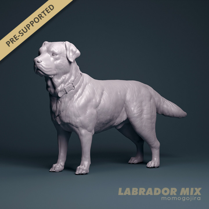 3D Printable Labrador Mix Dog by Momo