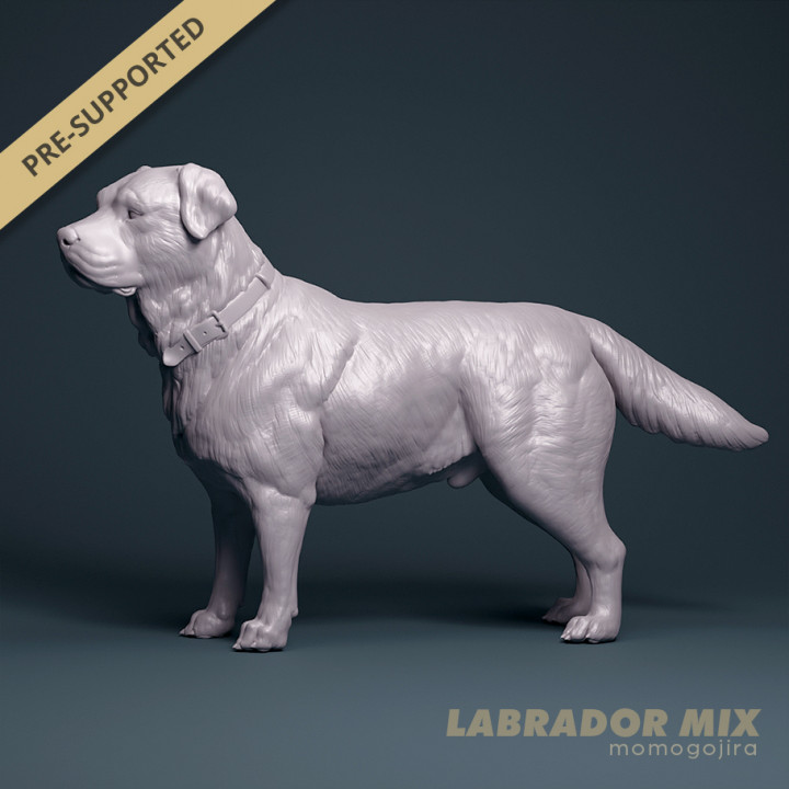3D Printable Labrador Mix Dog by Momo