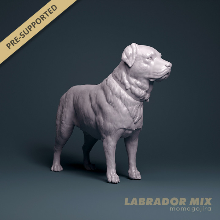 3D Printable Labrador Mix Dog by Momo