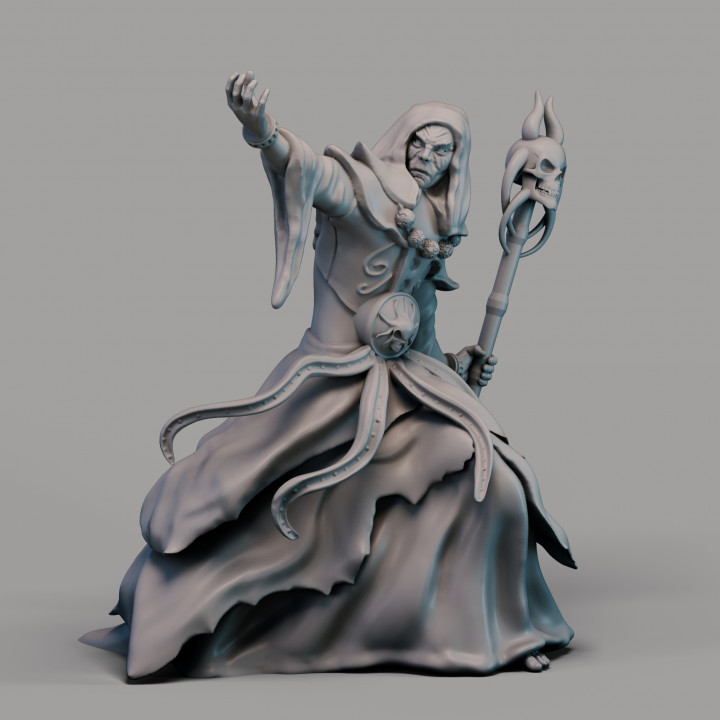 3D Printable Evil Wizard Necromancer Priest by 2moronic miniatures