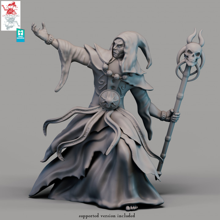 3D Printable Evil Wizard Necromancer Priest by 2moronic miniatures
