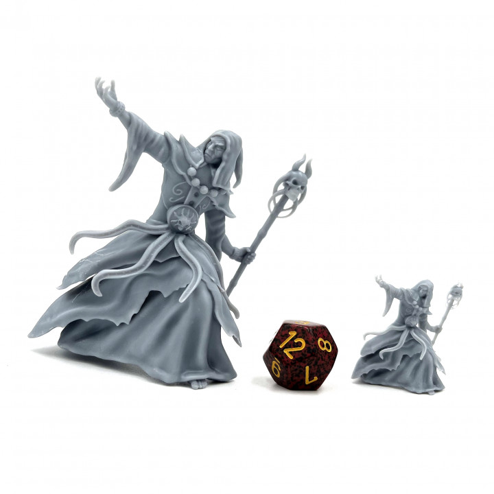 3D Printable Evil Wizard Necromancer Priest by 2moronic miniatures