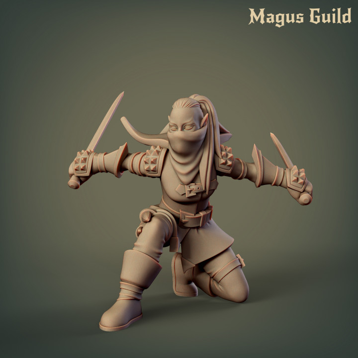3D Printable Elf Rogue Female – MG3.5 by Magus Guild