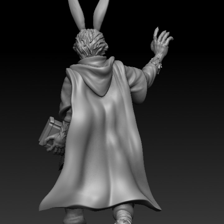 3D Printable Rabbitfolk Wizard by Scalemail Studios