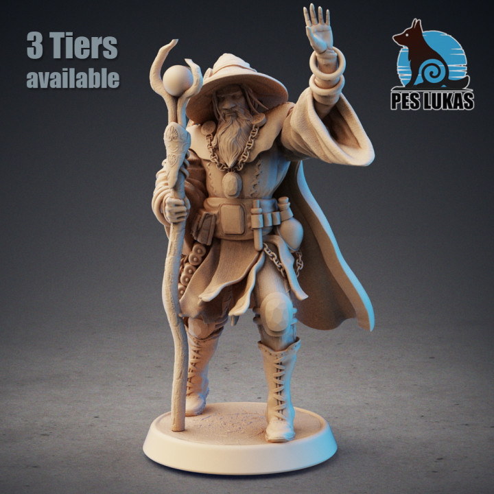 3D Printable Wizard Human Old Man by Pes Lukas