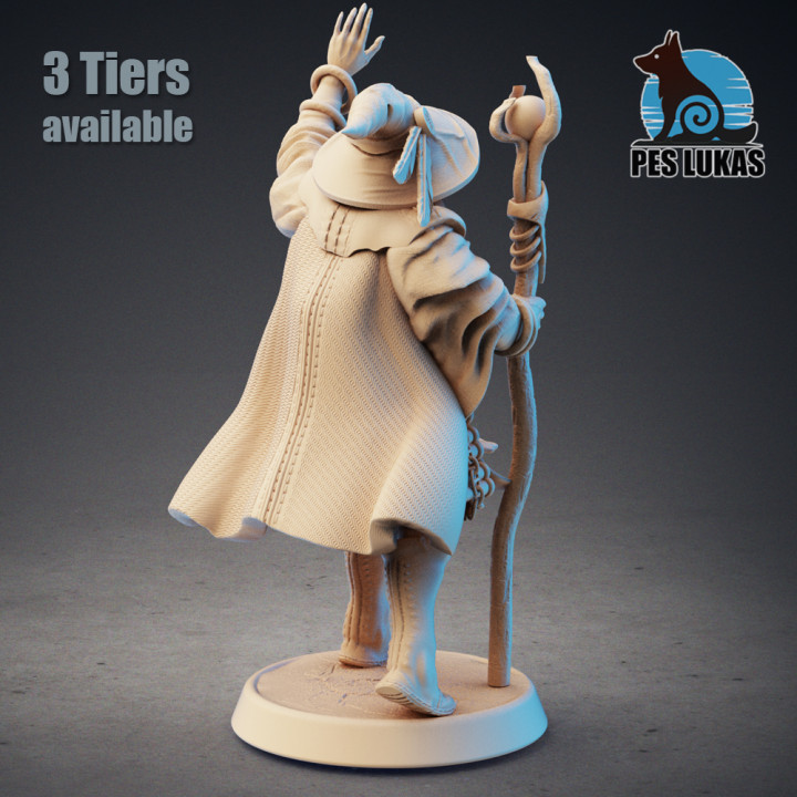3D Printable Wizard Human Old Man by Pes Lukas