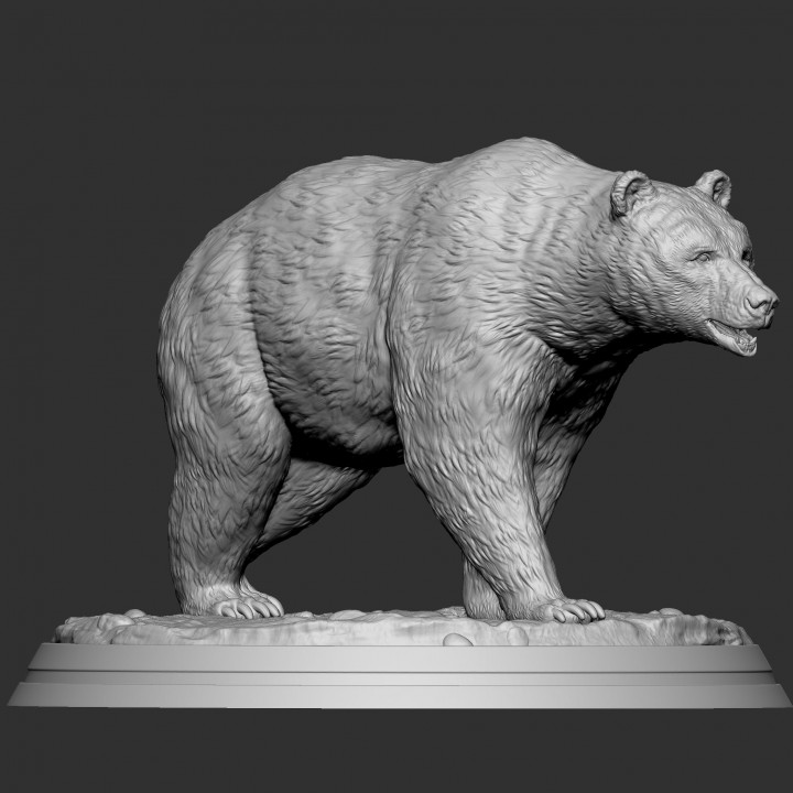 3D Printable BEAR by YD STUDIO