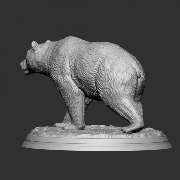 3D Printable BEAR by YD STUDIO