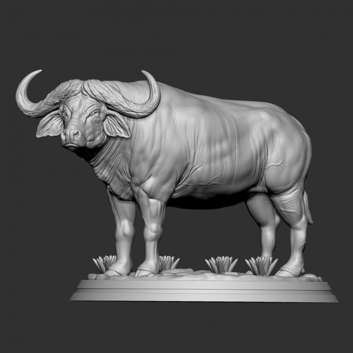 3D Printable CAPE BUFFALO by YD STUDIO
