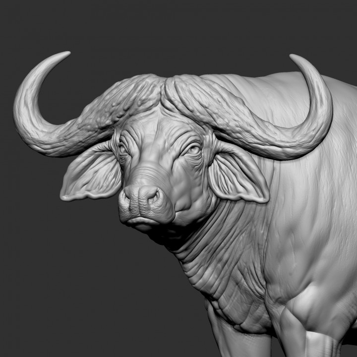 3D Printable CAPE BUFFALO by YD STUDIO