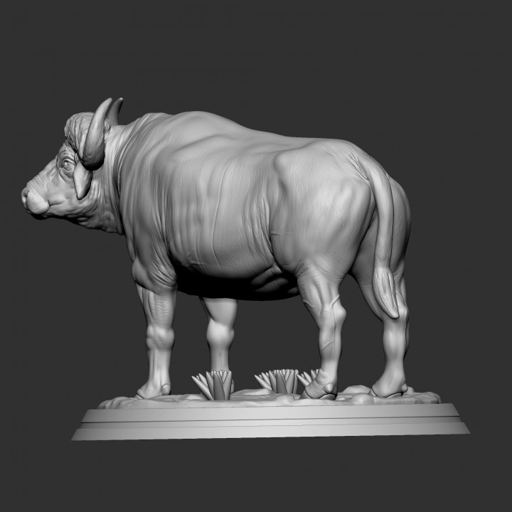3D Printable CAPE BUFFALO by YD STUDIO
