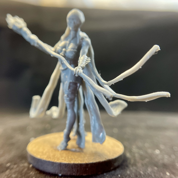 3D Printable Olega the Necro Druid from Gooey Cube(tm) by Harry's 3d ...