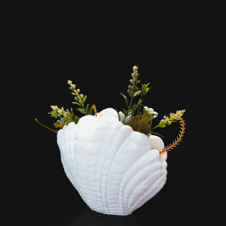 3D Printable Shell Vase by Stlflix