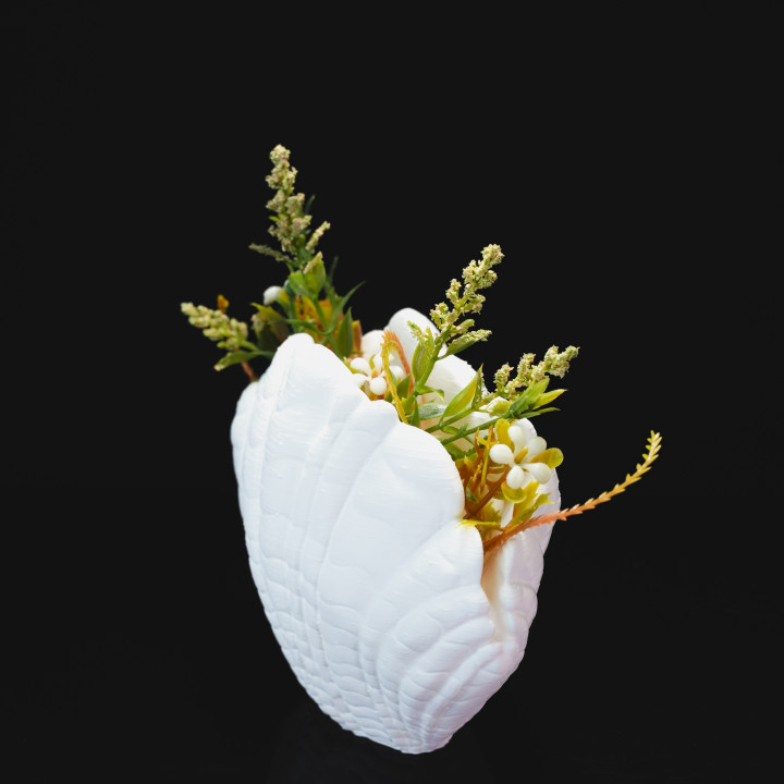 3D Printable Shell Vase by Stlflix