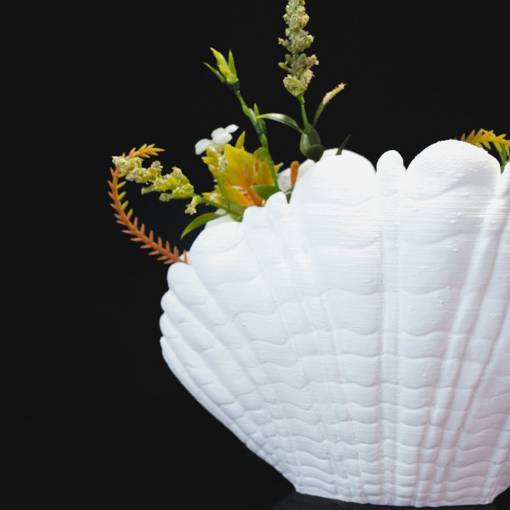 3D Printable Shell Vase by Stlflix