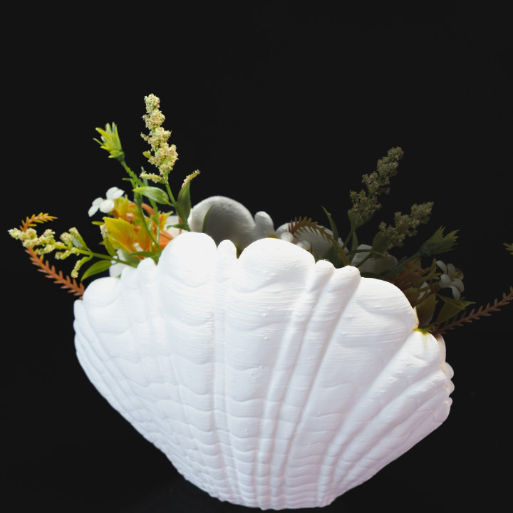 3D Printable Shell Vase by Stlflix