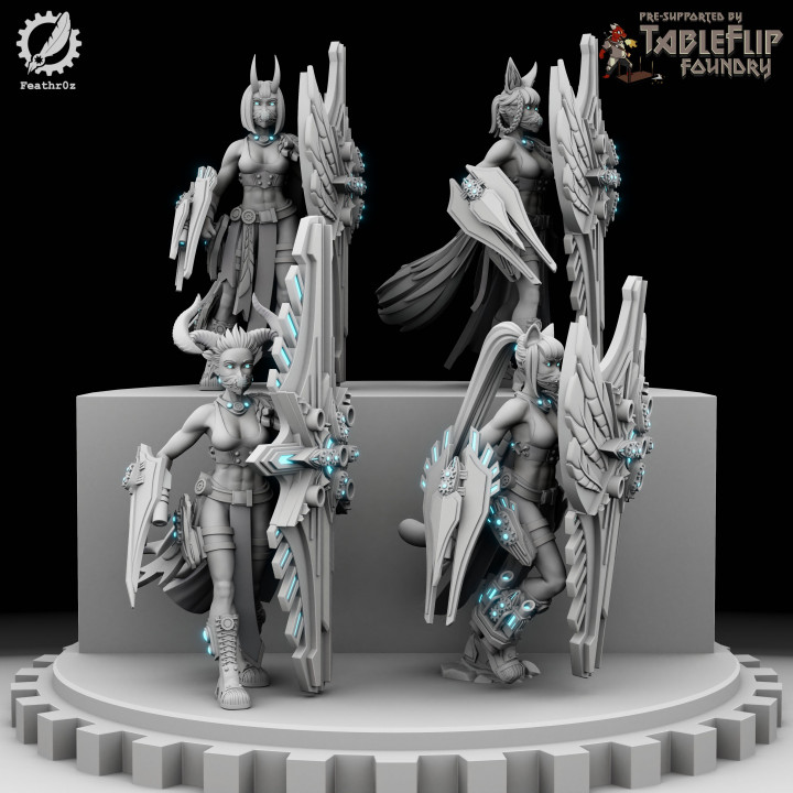 3D Printable Pack - Aurora Vanguard - Shield_Unit_P02_HV by feathr0z
