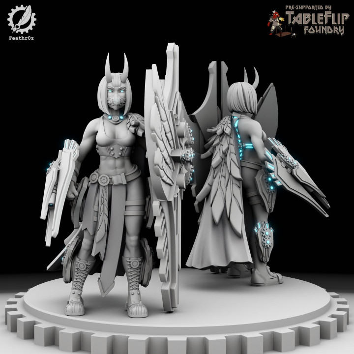 3D Printable Pack - Aurora Vanguard - Shield_Unit_P02_HV by feathr0z