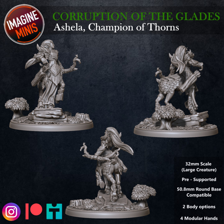3D Printable Corruption Of The Glades 2 - Ashela, Champion of Thorns by ...