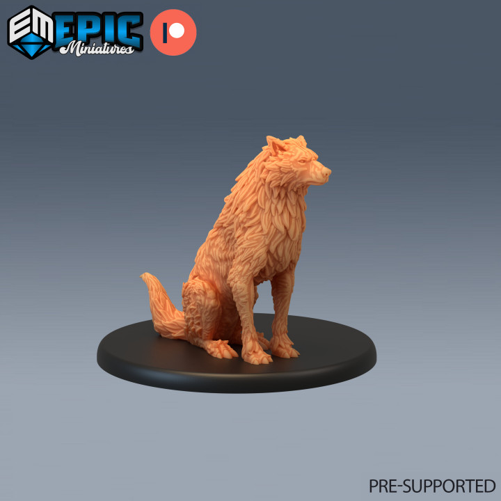 3D Printable Winter Wolf Team Sitting & Flying / Dire Wolf / Arctic ...