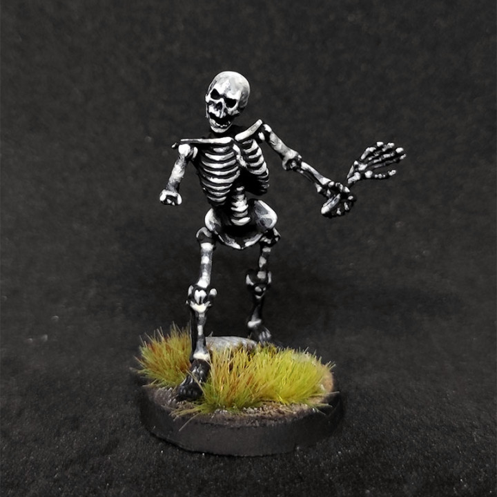 3D Printable Tons of Skeletons: Basic Skeletons by Apache-Studio
