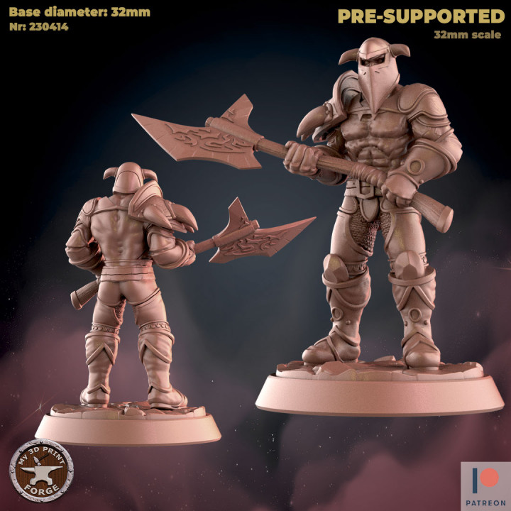 3D Printable Warrior Hero Two Models by My3DPrintForge