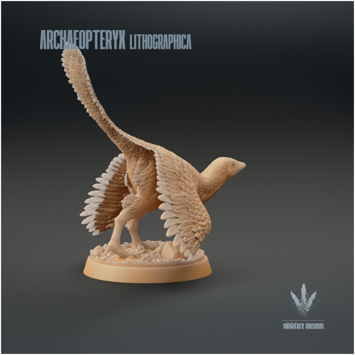 3D Printable Archaeopteryx lithographica : Display by Miniature Museum