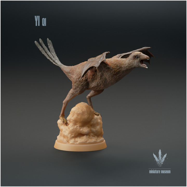 3D Printable Yi qi : The bat-like dinosaur by Miniature Museum