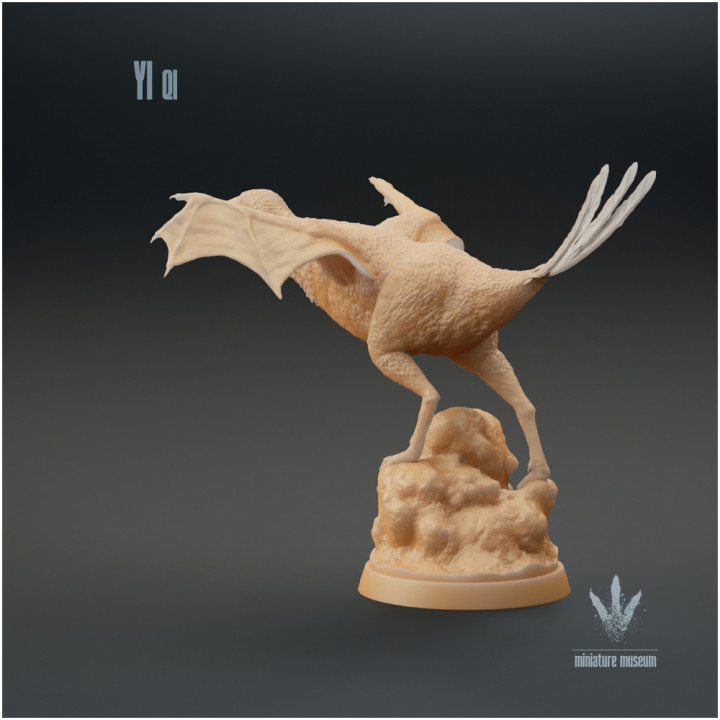 3D Printable Yi qi : The bat-like dinosaur by Miniature Museum
