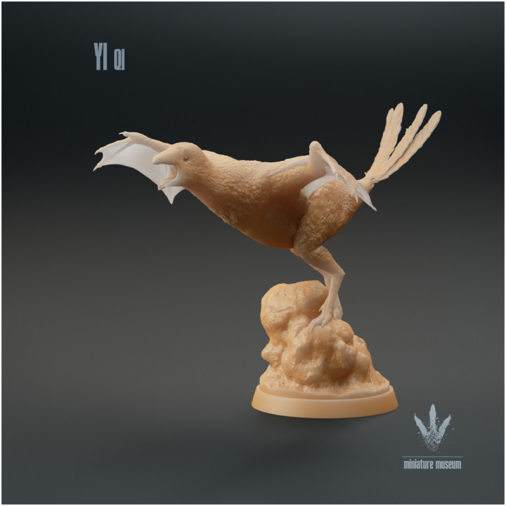 3D Printable Yi qi : The bat-like dinosaur by Miniature Museum