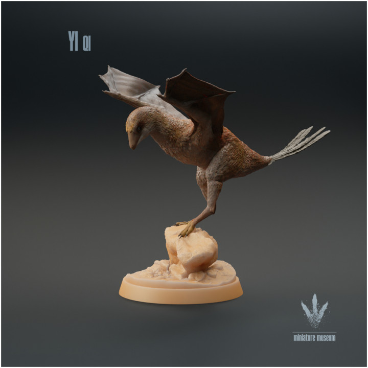 3D Printable Yi qi : Landing by Miniature Museum