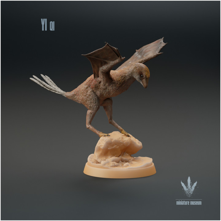 3D Printable Yi qi : Landing by Miniature Museum