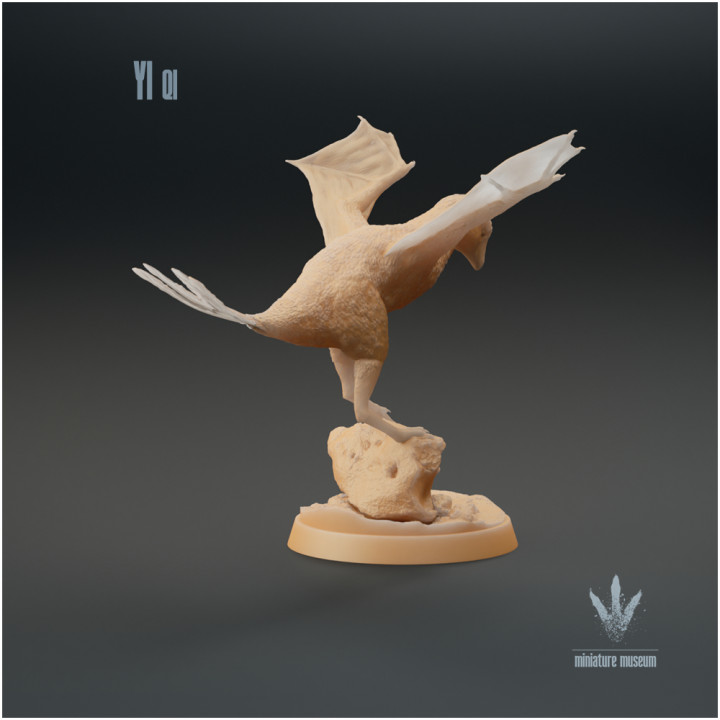 3D Printable Yi qi : Landing by Miniature Museum