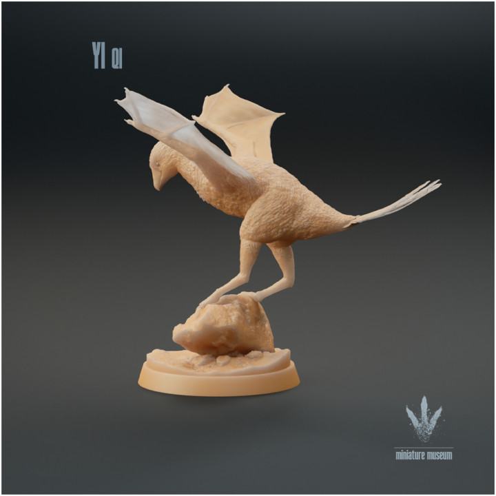 3D Printable Yi qi : Landing by Miniature Museum