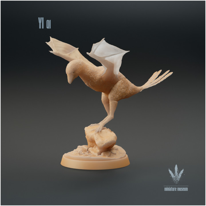 3D Printable Yi qi : Landing by Miniature Museum