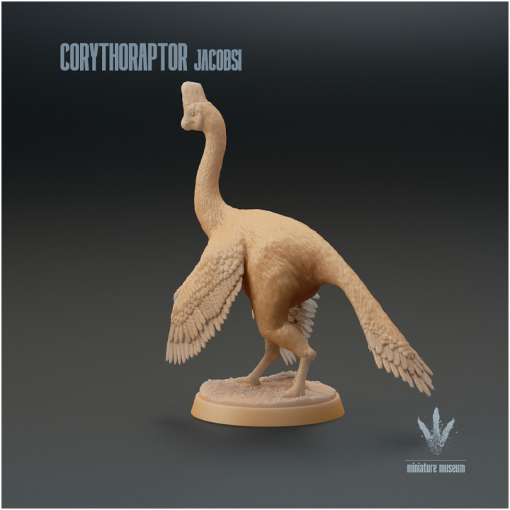 3D Printable Corythoraptor jacobsi : The Helmeted Thief by Miniature Museum