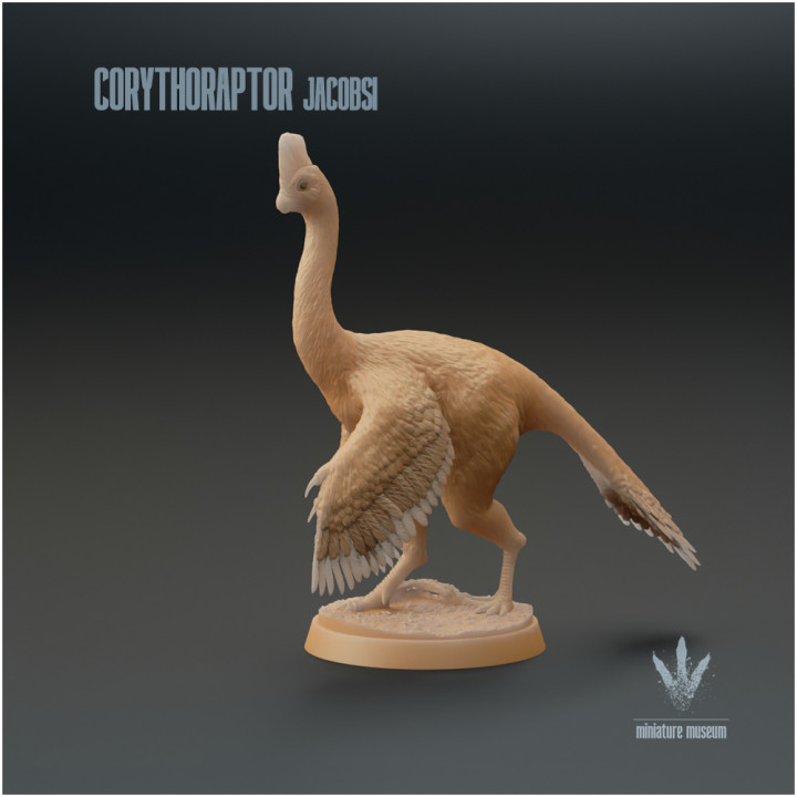3D Printable Corythoraptor jacobsi : The Helmeted Thief by Miniature Museum