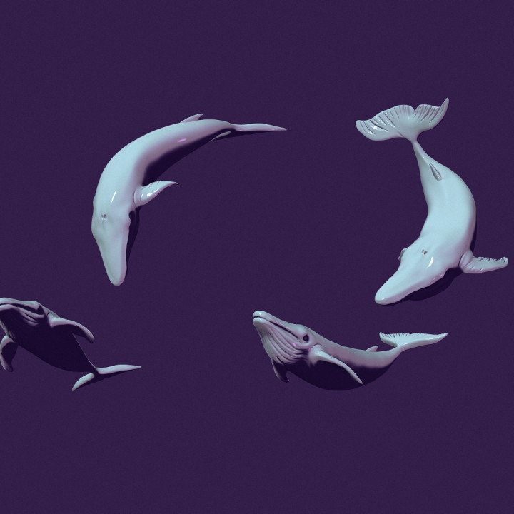 3D Printable four whales in different positions. toy by Viktoriya Kabanova