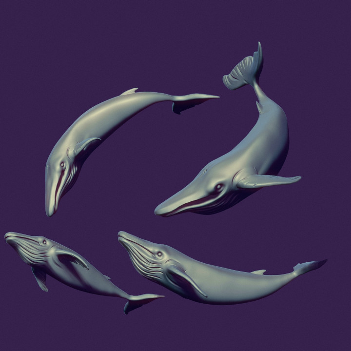 3D Printable four whales in different positions. toy by Viktoriya Kabanova