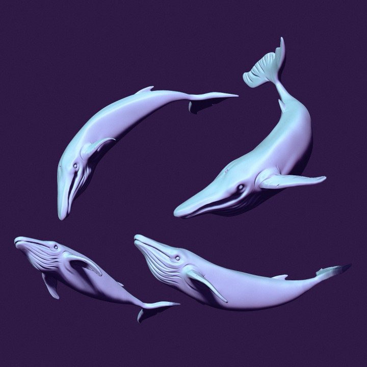 3D Printable four whales in different positions. toy by Viktoriya Kabanova