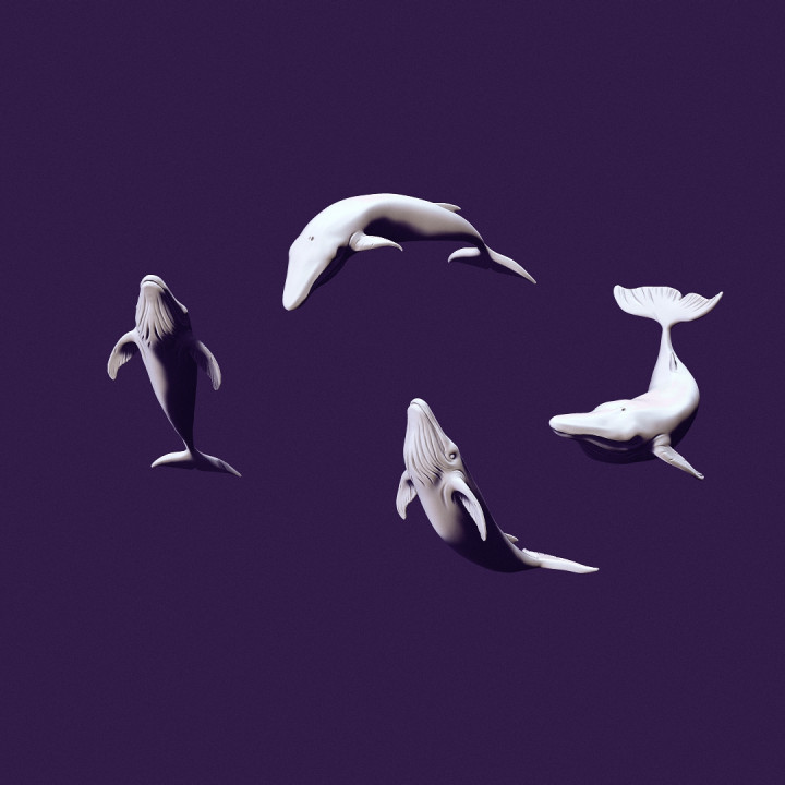 3D Printable four whales in different positions. toy by Viktoriya Kabanova