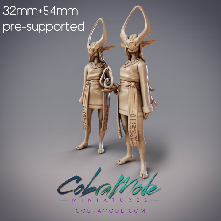 3D Printable Stygian Void Mage Twins - Eshraq & Isra, Children of Ydris (Pre-supported) by CobraMode