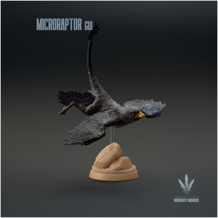 3D Printable Microraptor gui : Flying by Miniature Museum