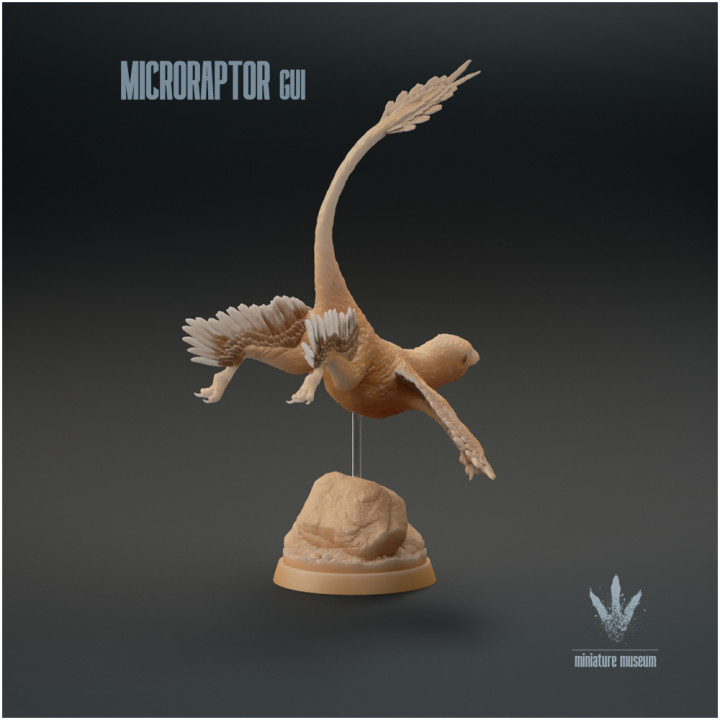3D Printable Microraptor gui : Flying by Miniature Museum