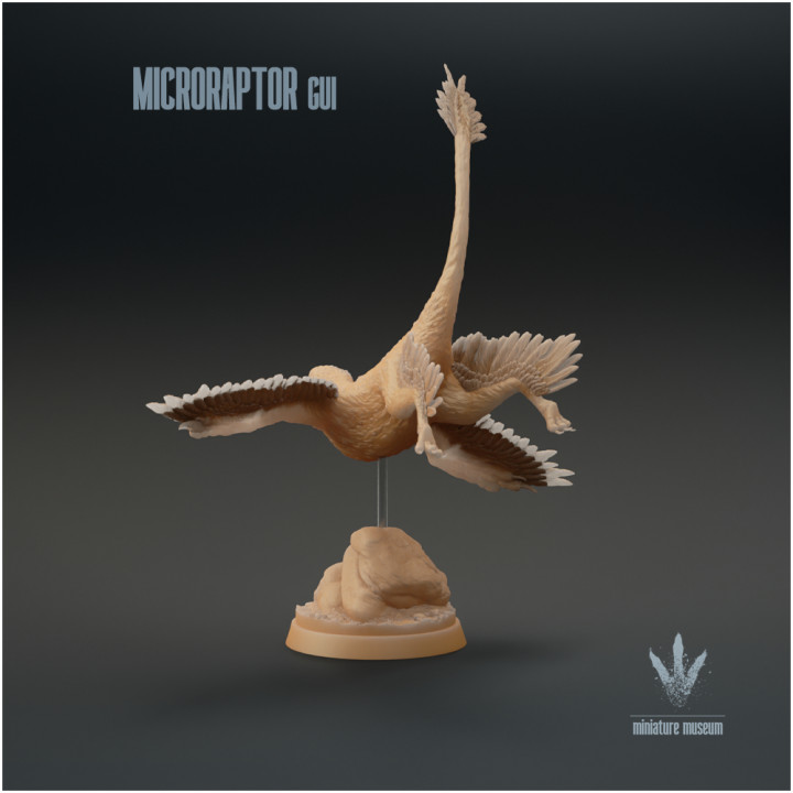3D Printable Microraptor gui : Flying by Miniature Museum
