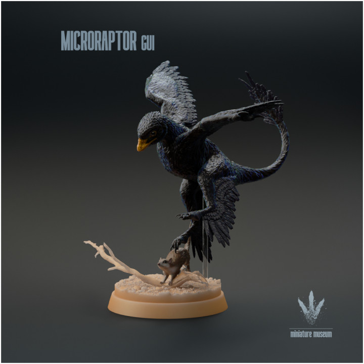 3D Printable Microraptor gui : Hunting a prehistoric mammal Eomaia by Miniature Museum