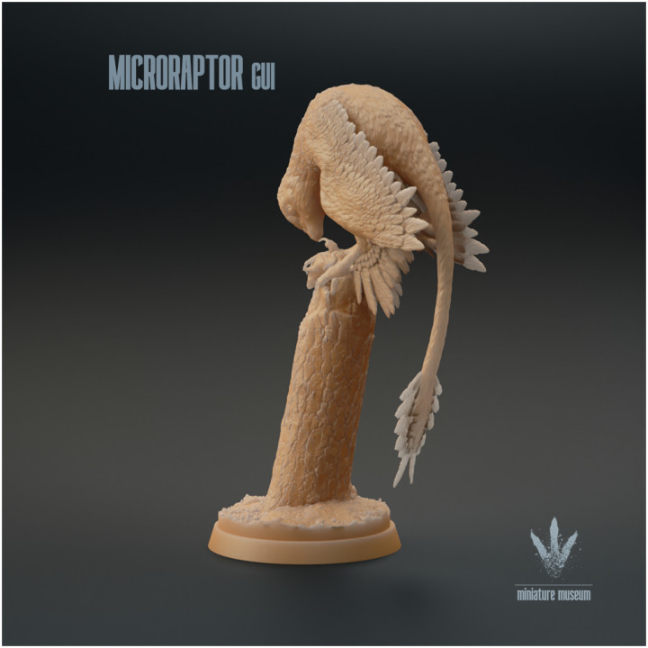3D Printable Microraptor gui : Feeding on the Eomaia by Miniature Museum